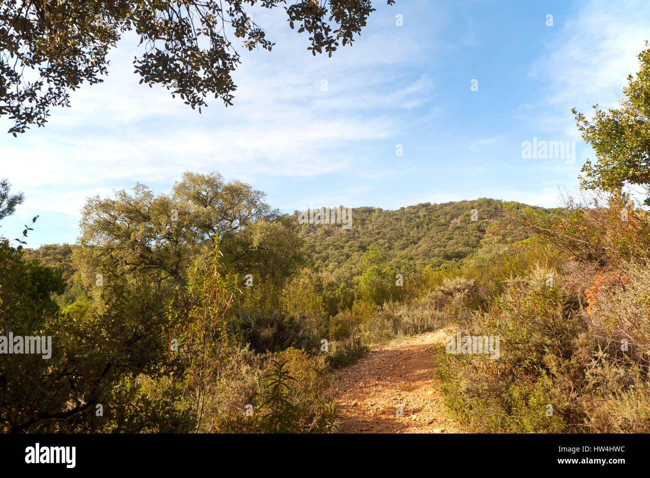 Footpath trail through Sierra Morena mountains, Sierra de Aracena ...