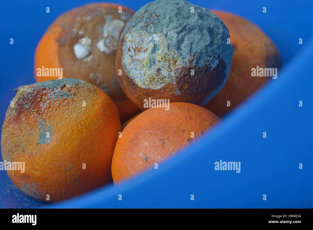 Moldy Fruit Stock Photos & Moldy Fruit Stock Images - Alamy