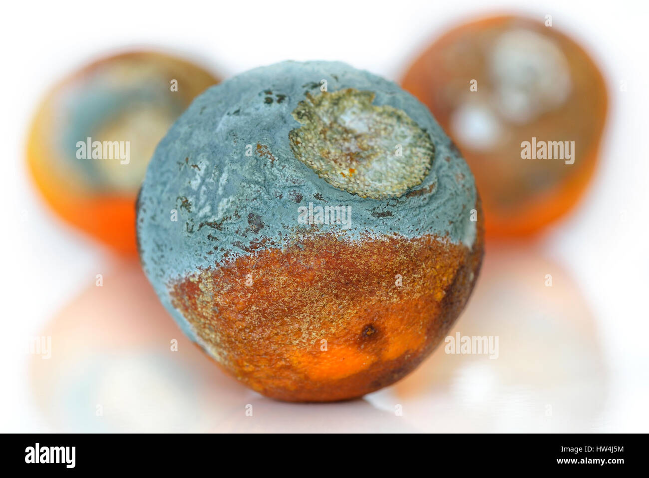 Rotten fruits hi-res stock photography and images - Alamy