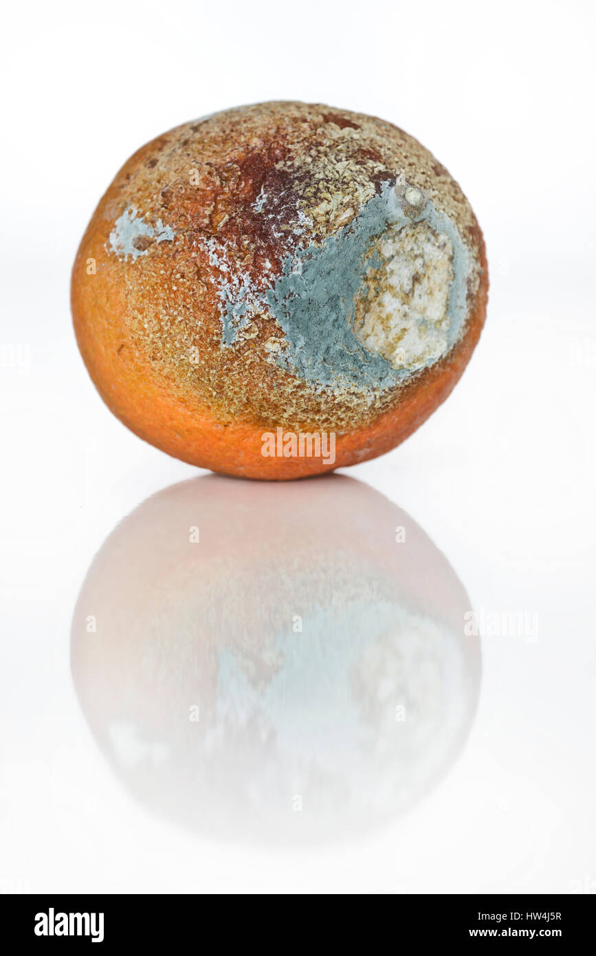 Orange with mold hi-res stock photography and images - Alamy