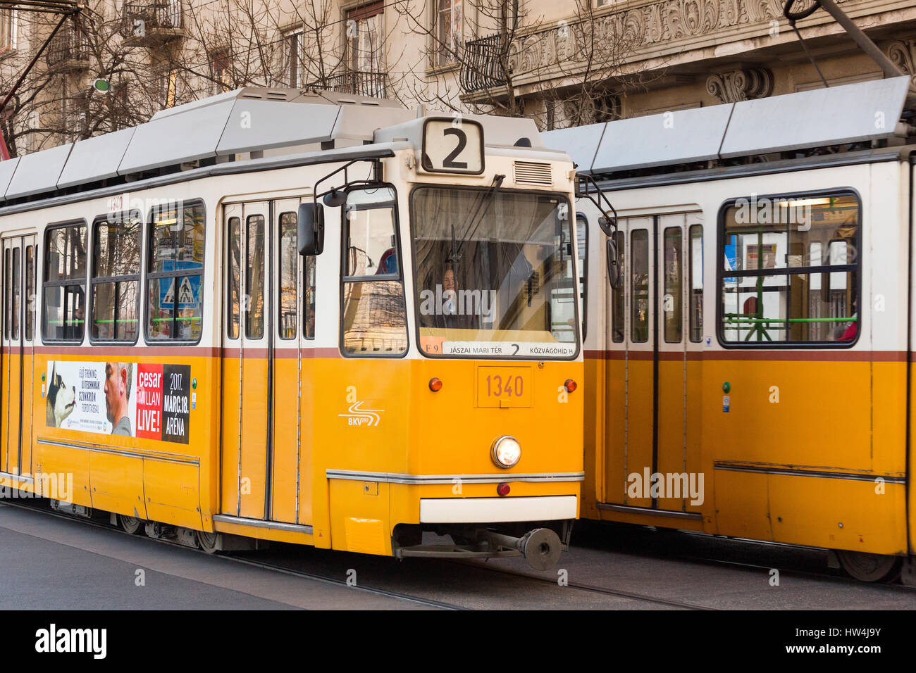 Tram. Street life. Budapest Hungary, Southeast Europe Stock Photo - Alamy