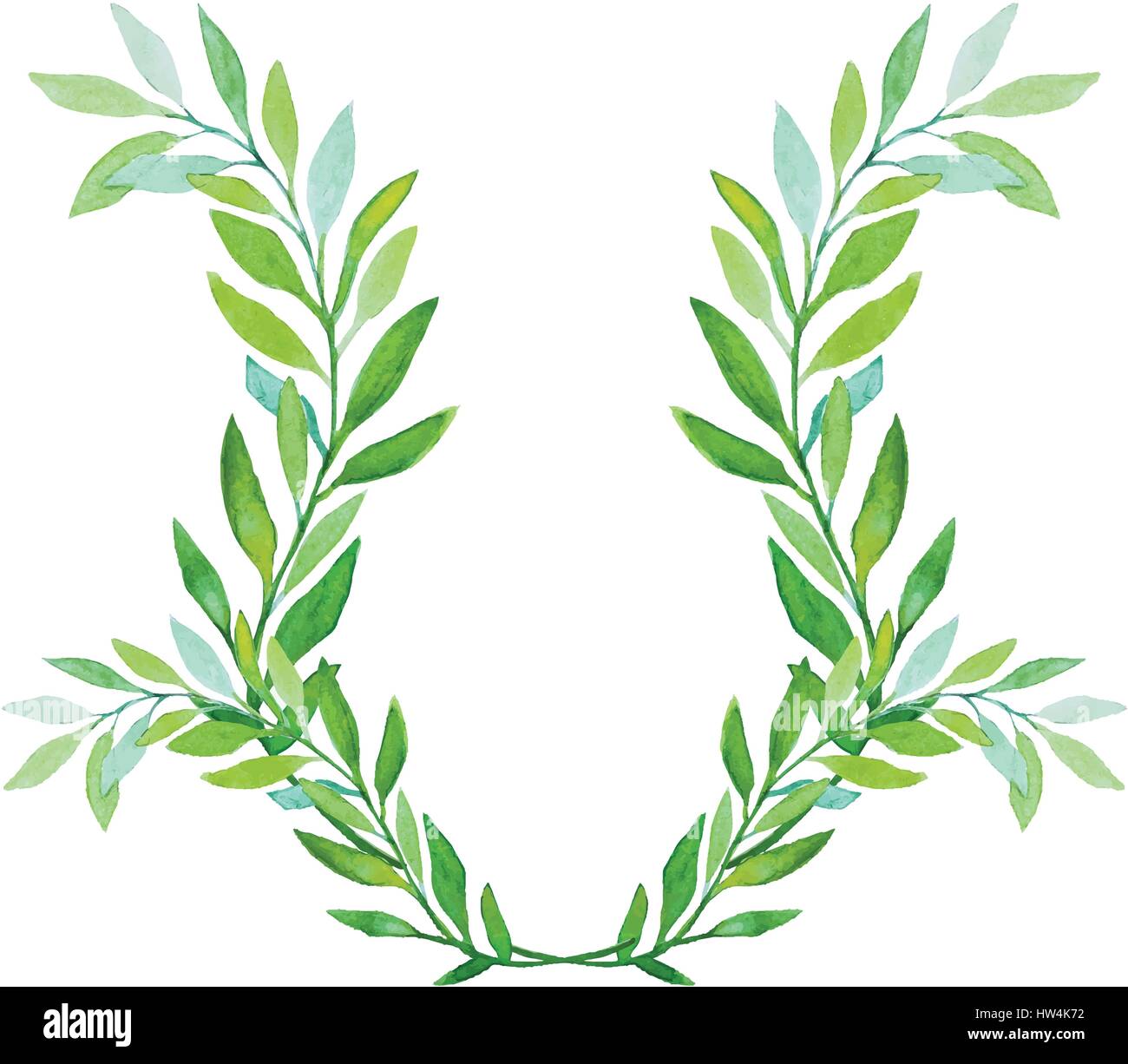 Watercolor Laurel Wreath Isolated On White Background Vector