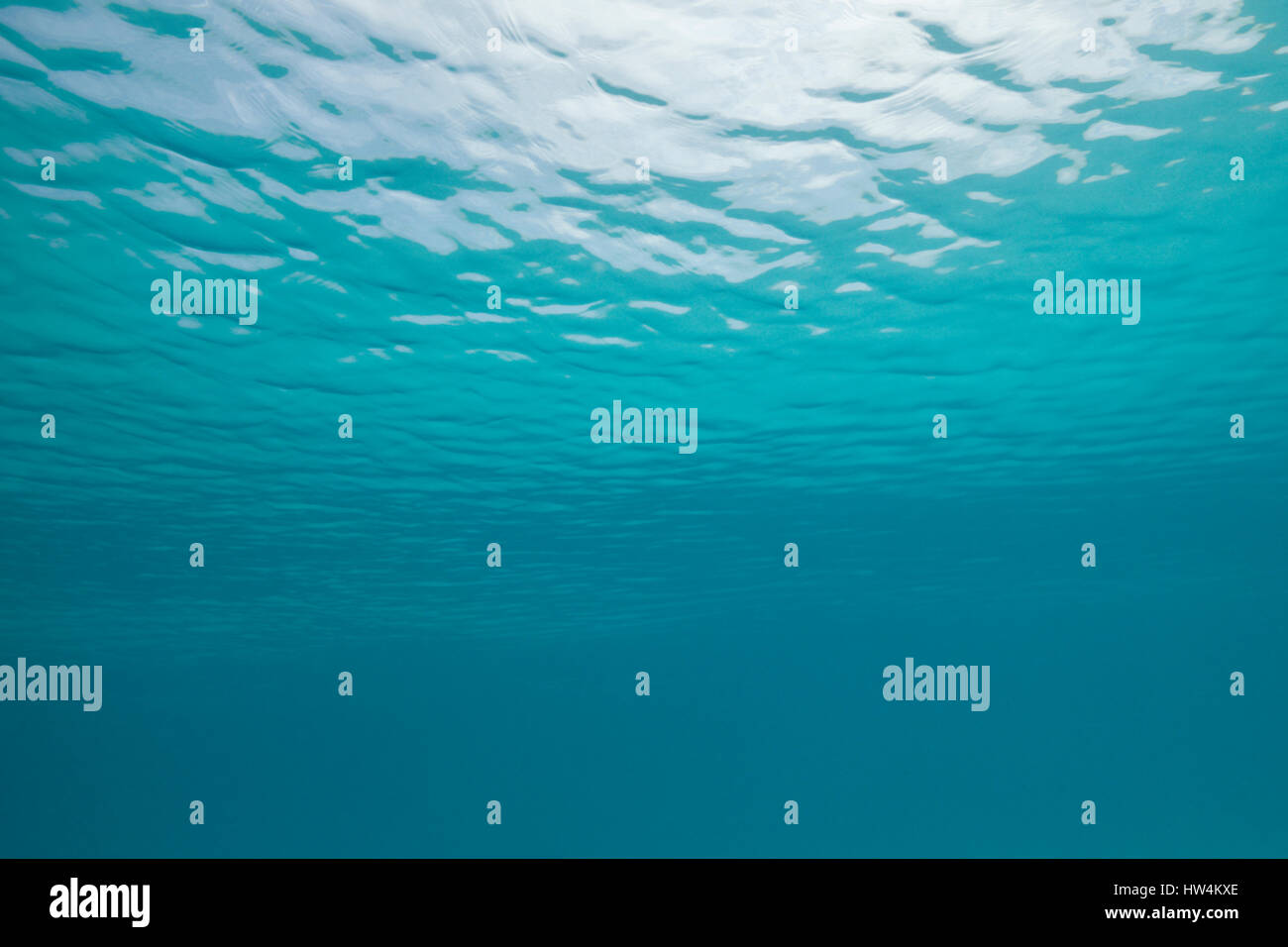Open ocean underwater hi-res stock photography and images - Alamy