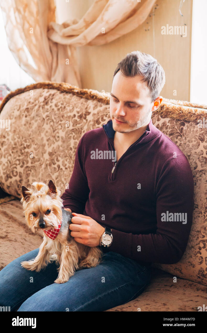 Shih tzu yorkshire terrier hi-res stock photography and images - Alamy