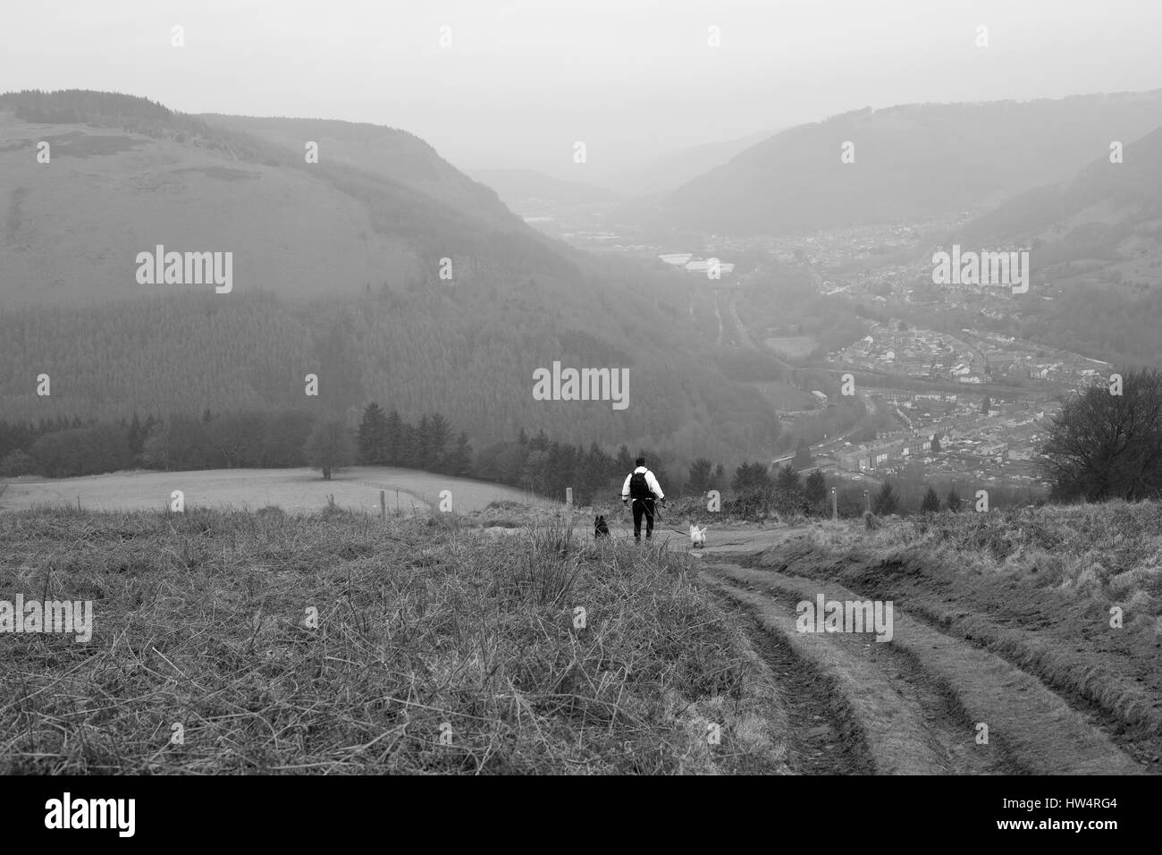 wet mountain road Stock Photo - Alamy