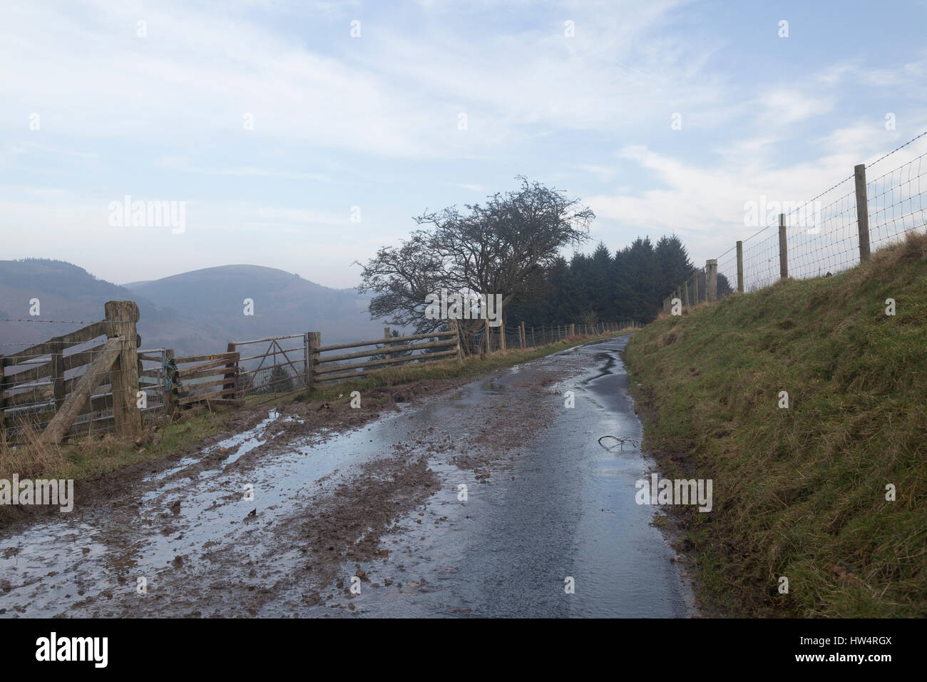 wet mountain road Stock Photo - Alamy