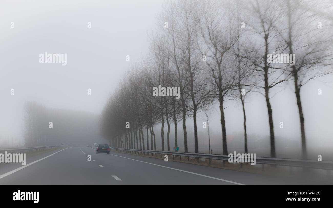 Driving in the Fog Stock Photo - Alamy