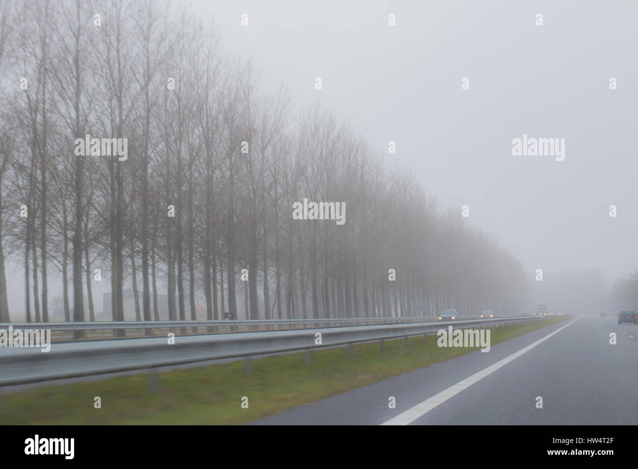 Driving in the Fog Stock Photo - Alamy