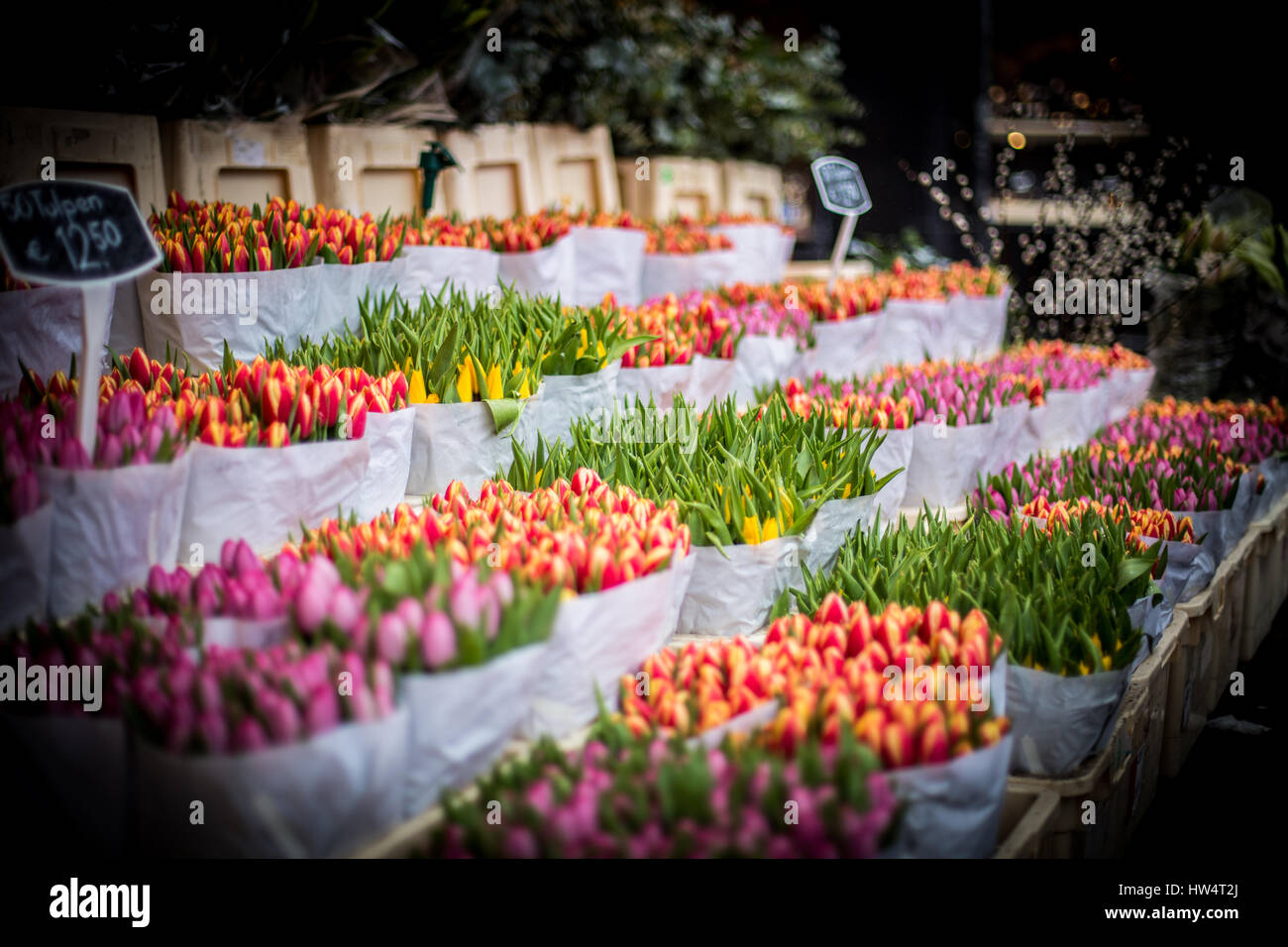 Colorful Tulip Flower Market Stock Photo - Alamy