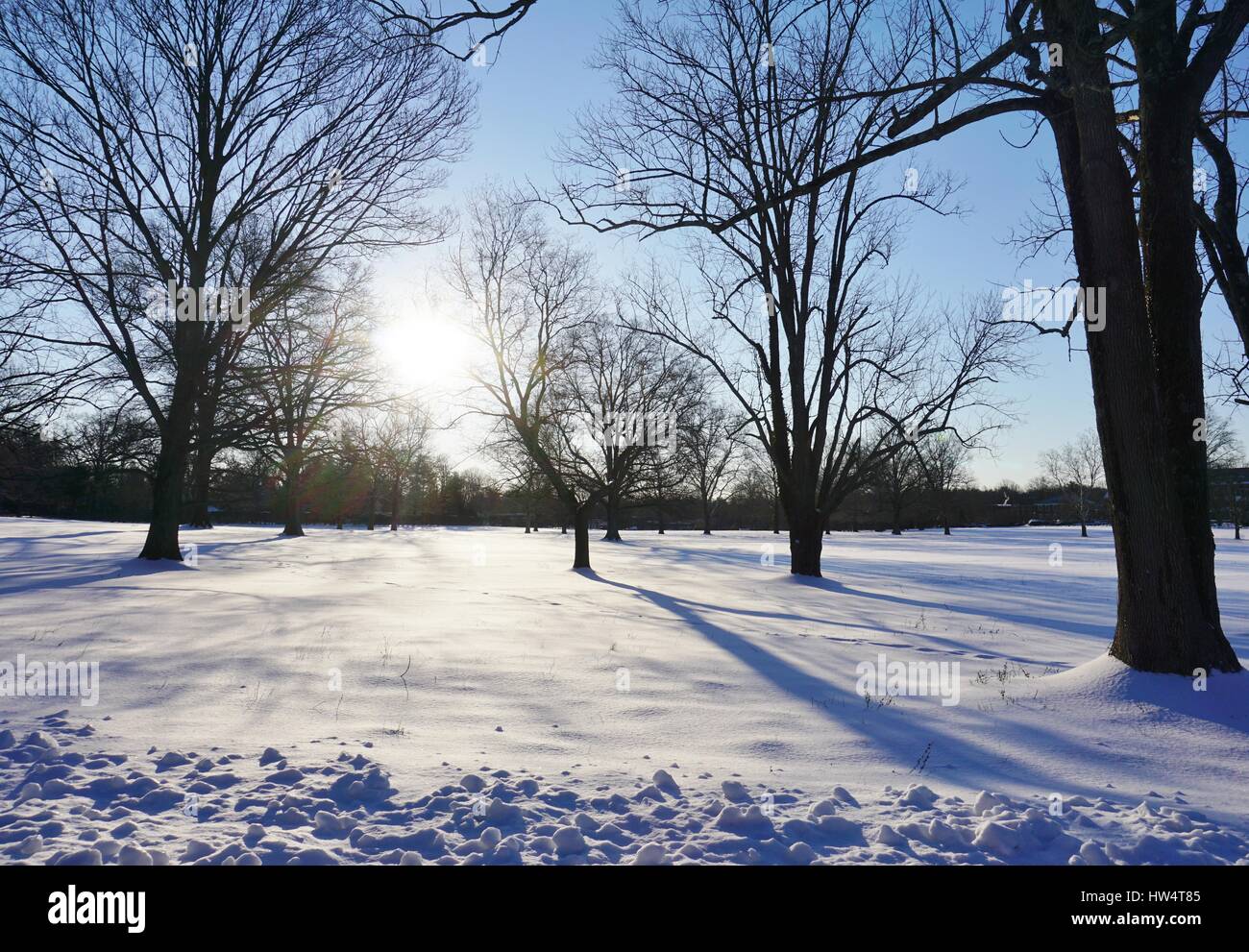 Morning sun on the white snow after a storm Stock Photo - Alamy