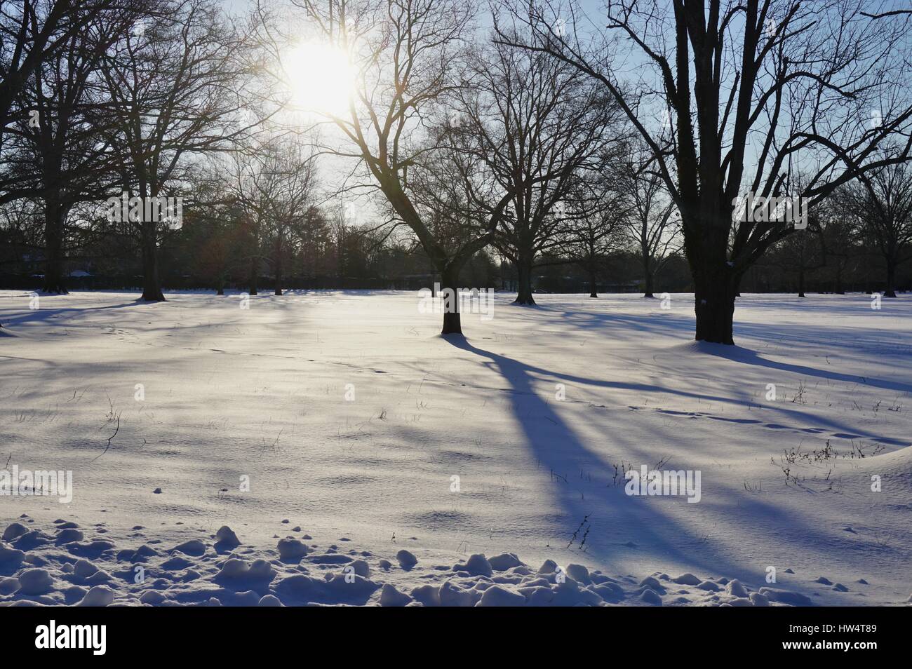 Morning sun on the white snow after a storm Stock Photo - Alamy