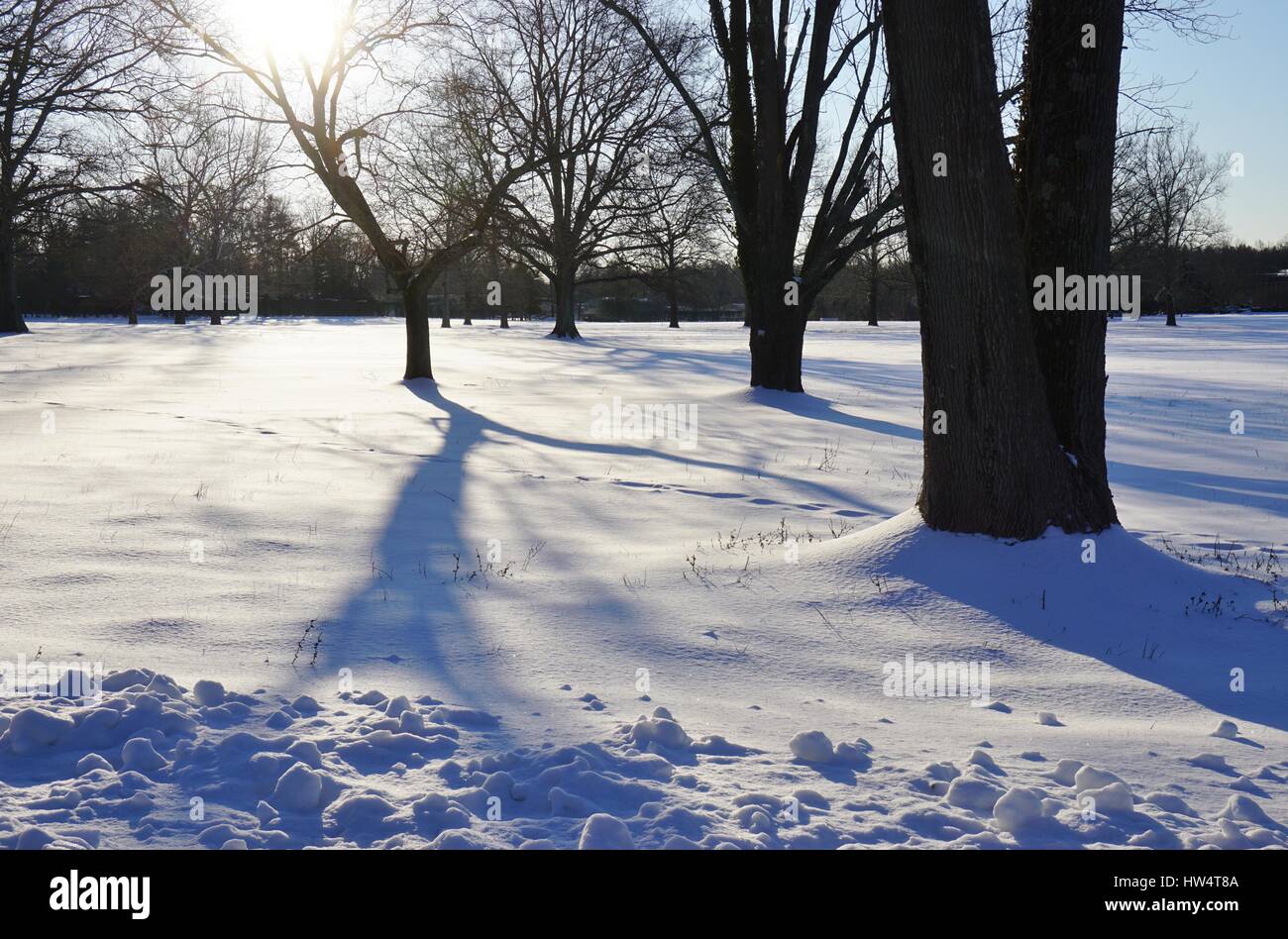After cold morning hi-res stock photography and images - Alamy