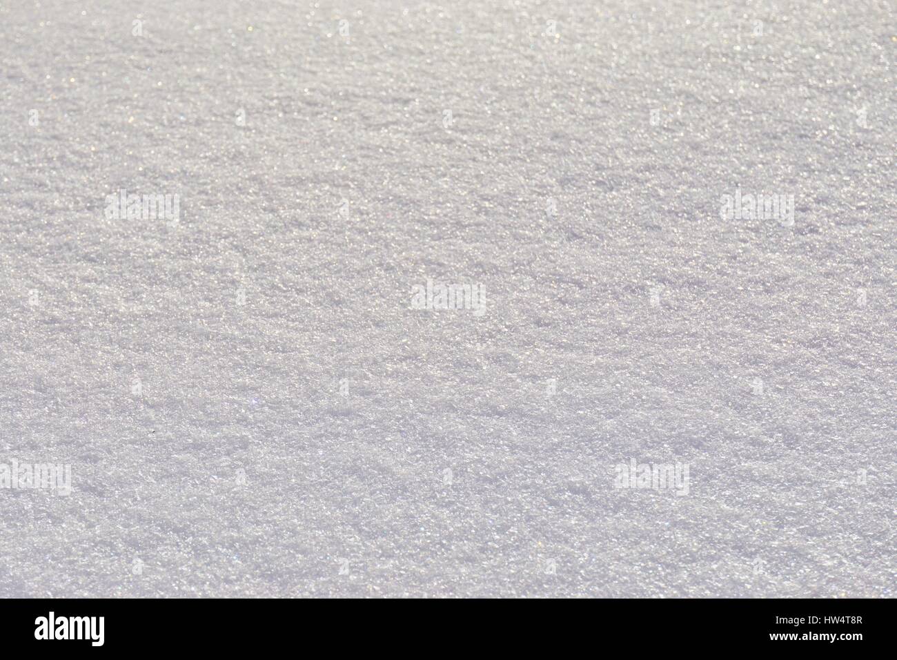 Glistening white snow after a winter storm Stock Photo - Alamy
