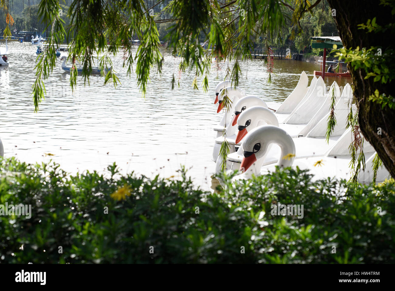 Swan boat at Burnham Park, Baguio City, Philippines Stock Photo - Alamy