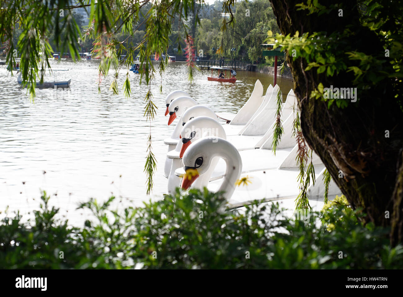 Swan boat at Burnham Park, Baguio City, Philippines Stock Photo - Alamy