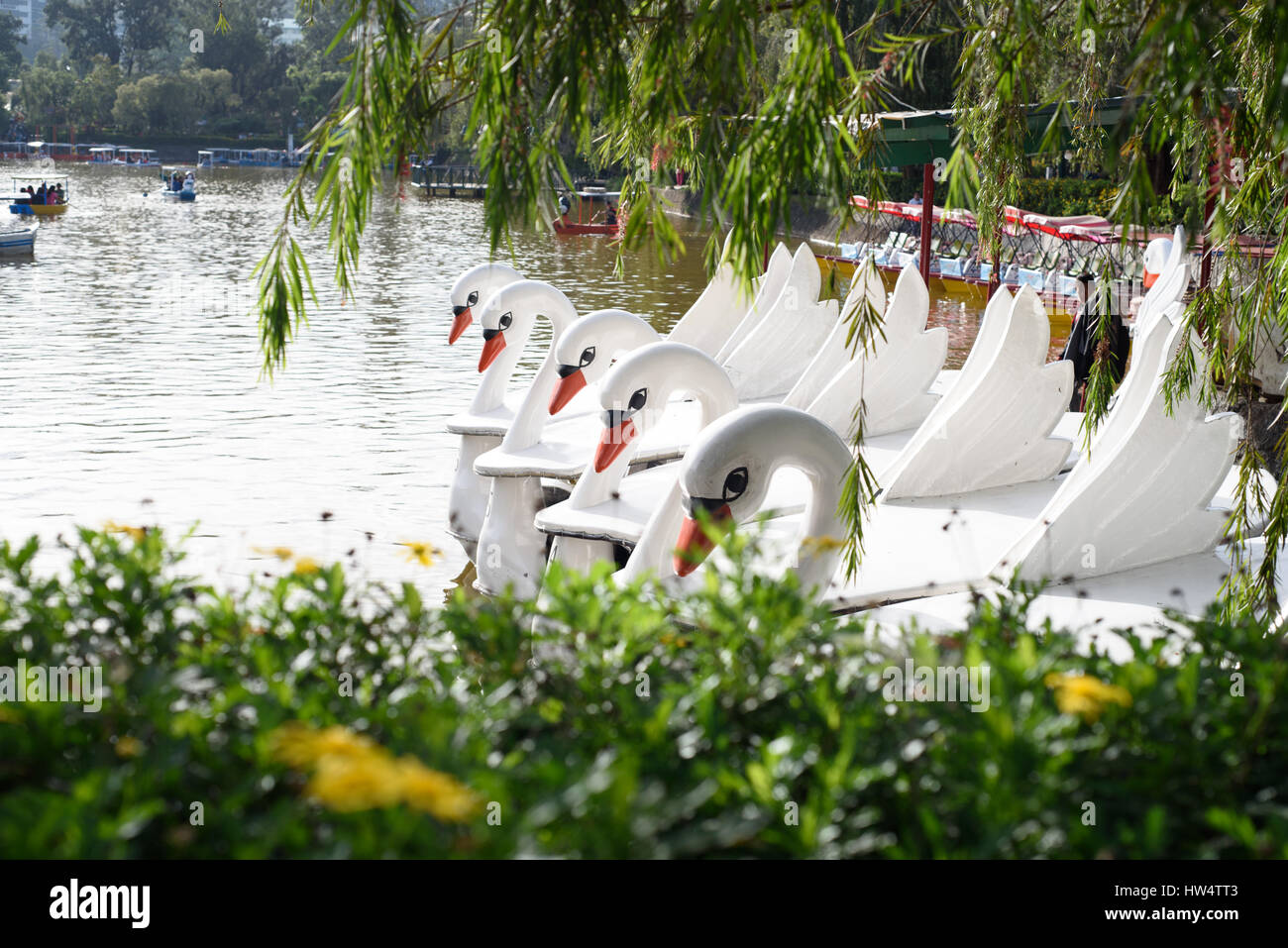 Swan boat at Burnham Park, Baguio City, Philippines Stock Photo - Alamy