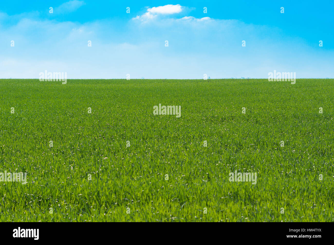 Ruhama hi-res stock photography and images - Alamy