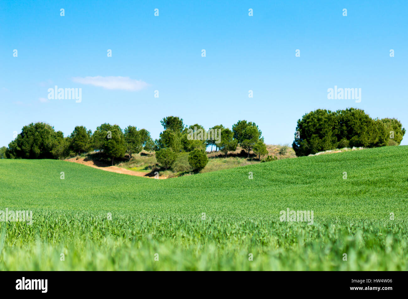 Ruhama hi-res stock photography and images - Alamy