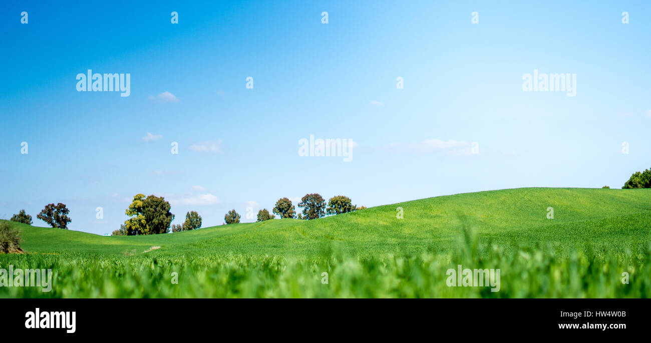 Ruhama hi-res stock photography and images - Alamy