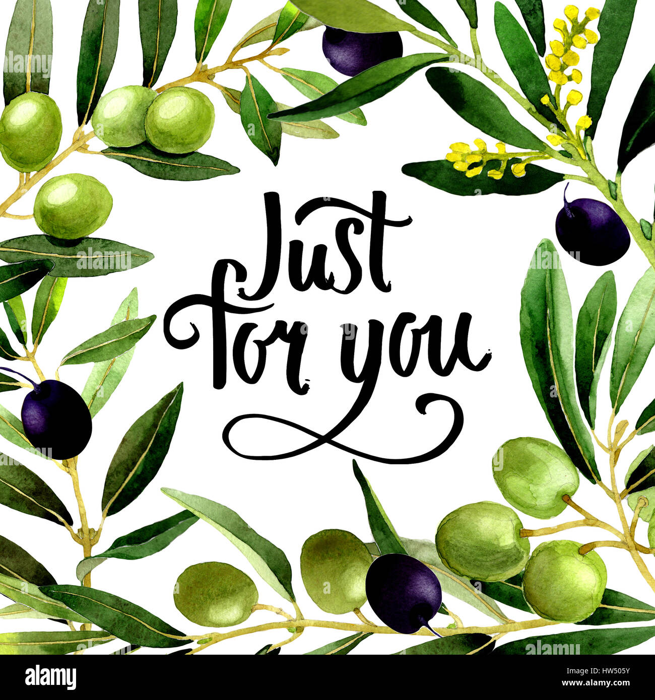 Olive tree frame in a watercolor style isolated Stock Photo - Alamy