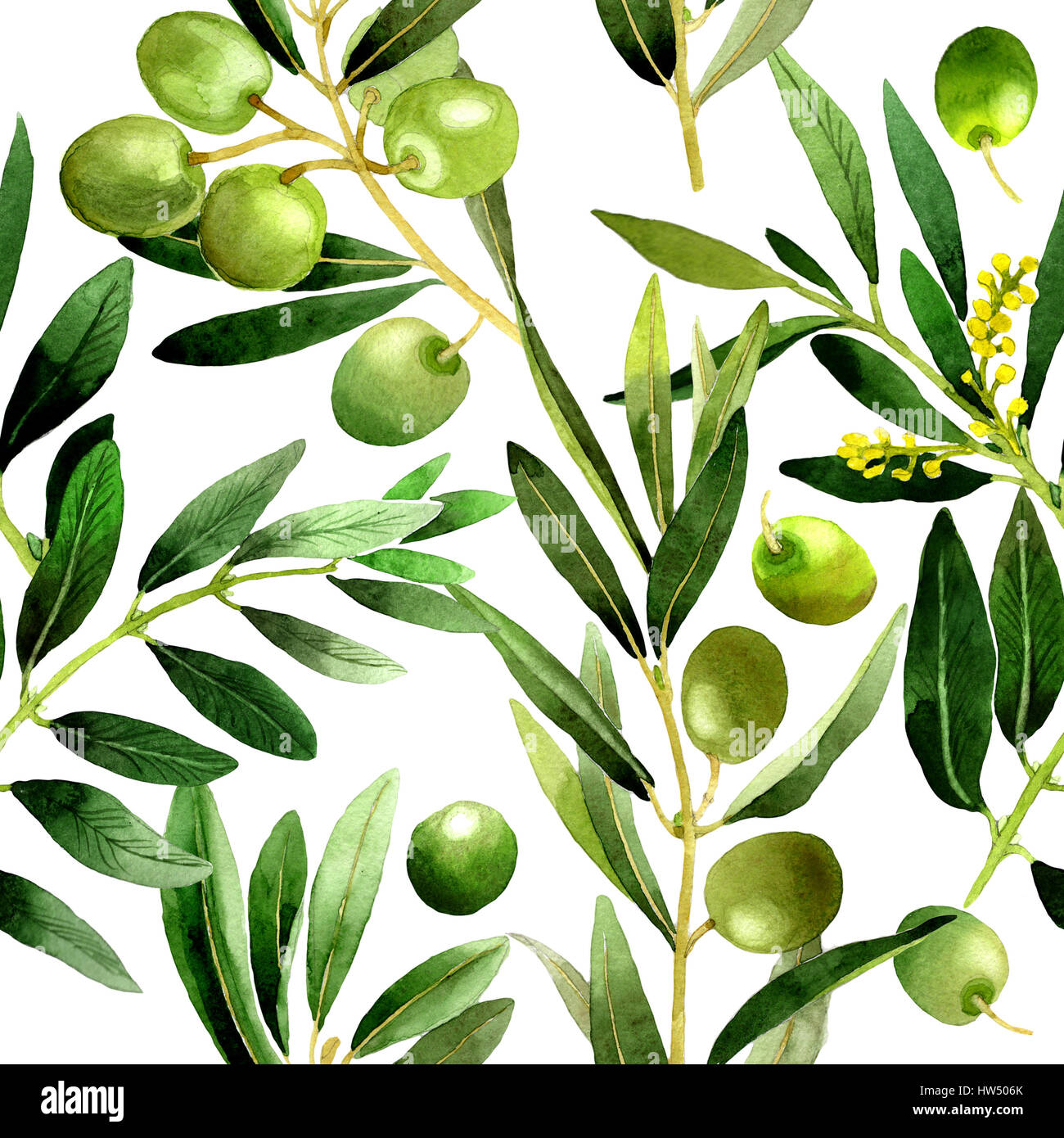 Olive tree pattern in a watercolor style isolated Stock Photo - Alamy
