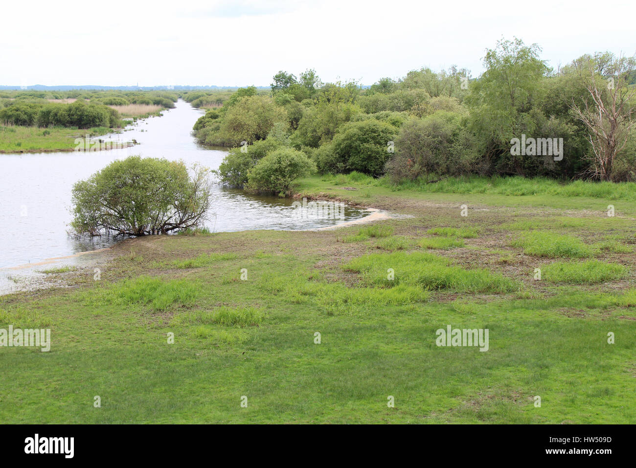 Grand lieu lac hi-res stock photography and images - Alamy