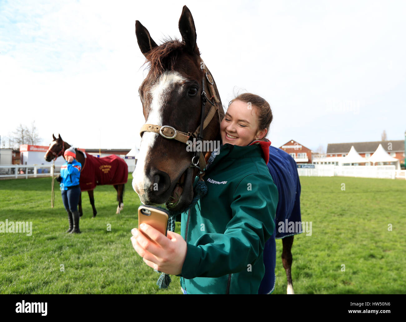 Ay Up Charley on the course before Gold Cup Day of the 2017 Cheltenham ...