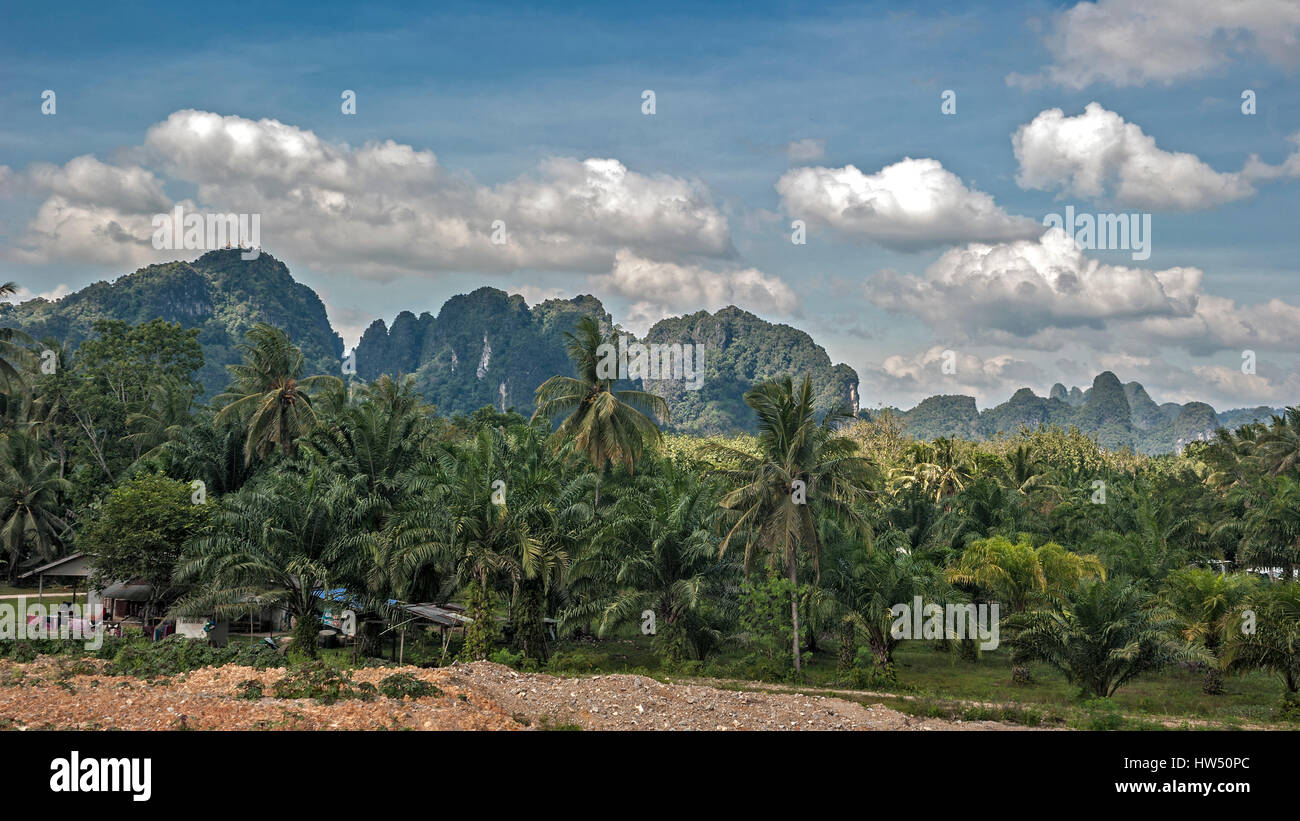 Thailand, Krabi Province. The landscape around Krabi Town. Jungle ...