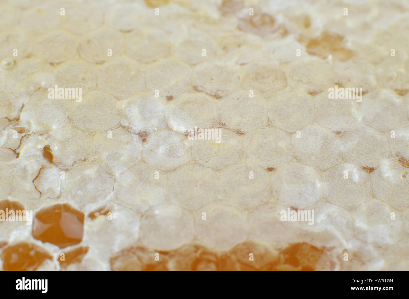 Honeycomb surface hi-res stock photography and images - Alamy