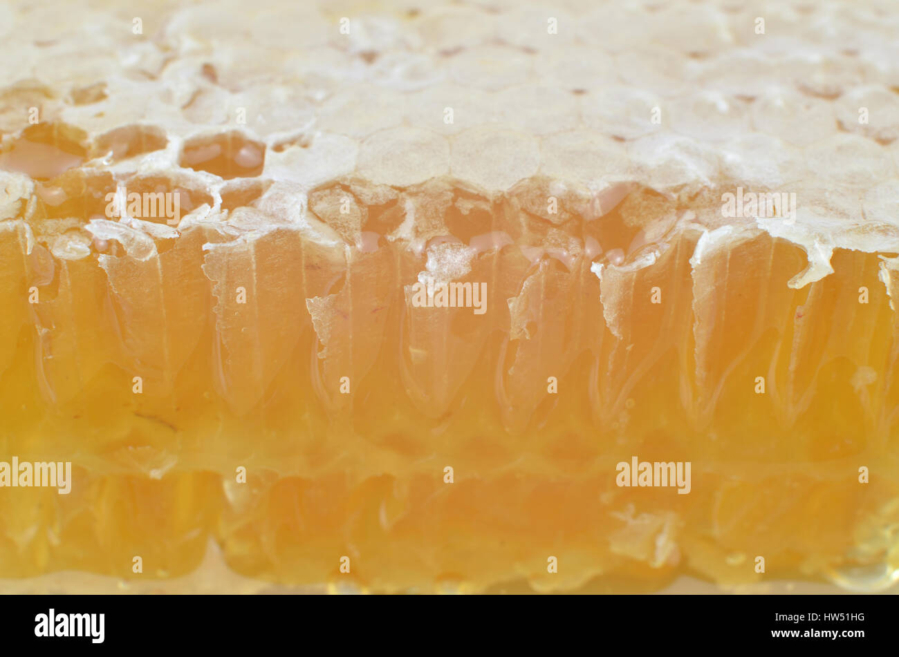 Macro of honeycomb cross section suitable for background Stock Photo ...