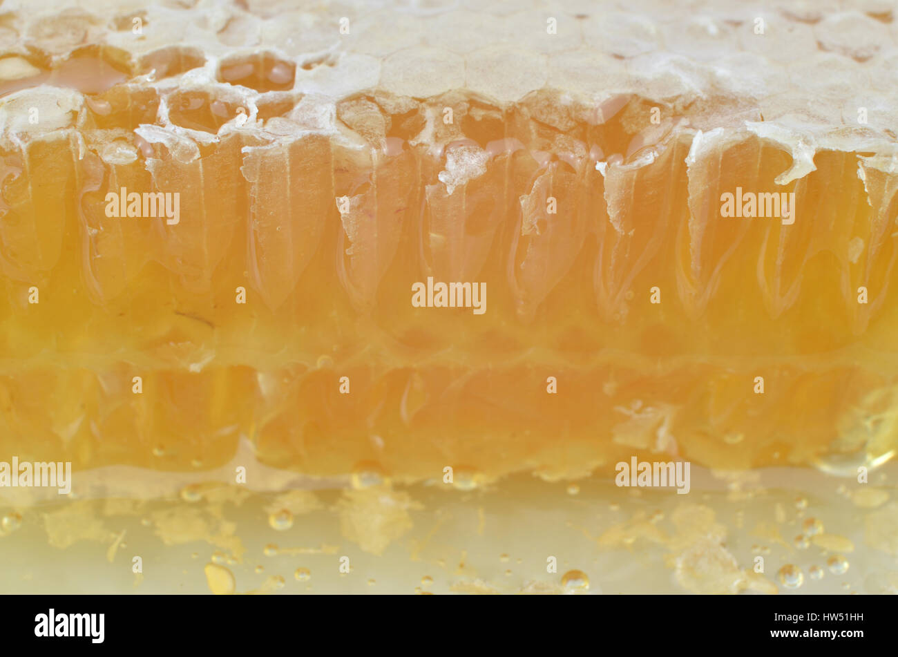 Shallow DOF macro of honeycomb cross section with honey suitable for ...