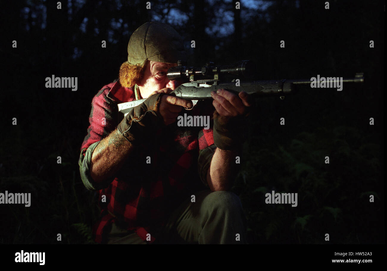 A man is kneeling down hunting for Possum, New Zealand, South Island ...