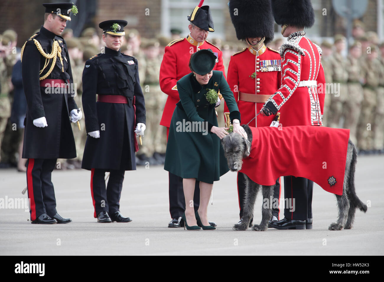 The Duchess of Cambridge meets regimental mascot Domhnall as she and ...