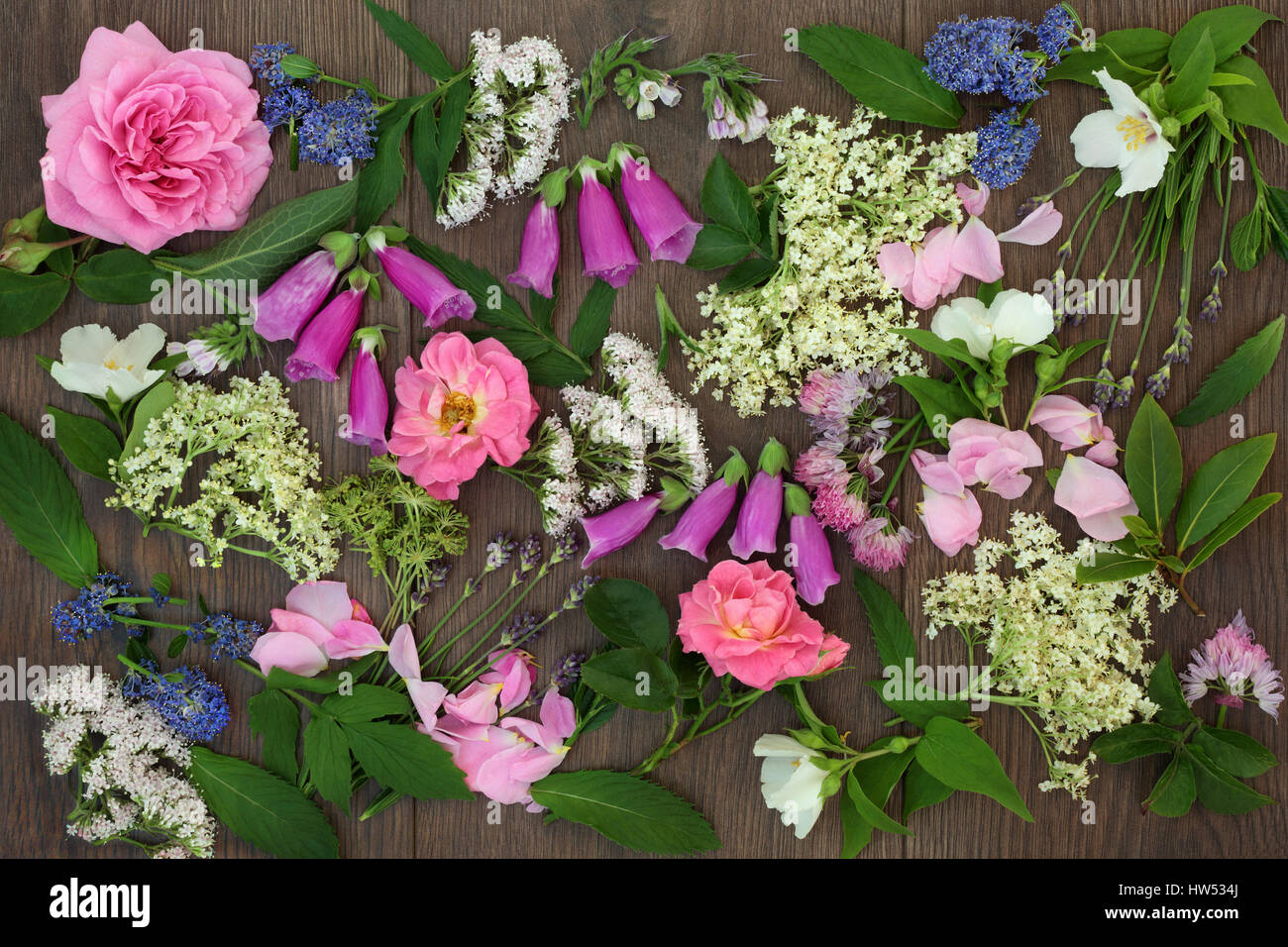 Medicinal flower and herb collection used in natural alternative herbal ...