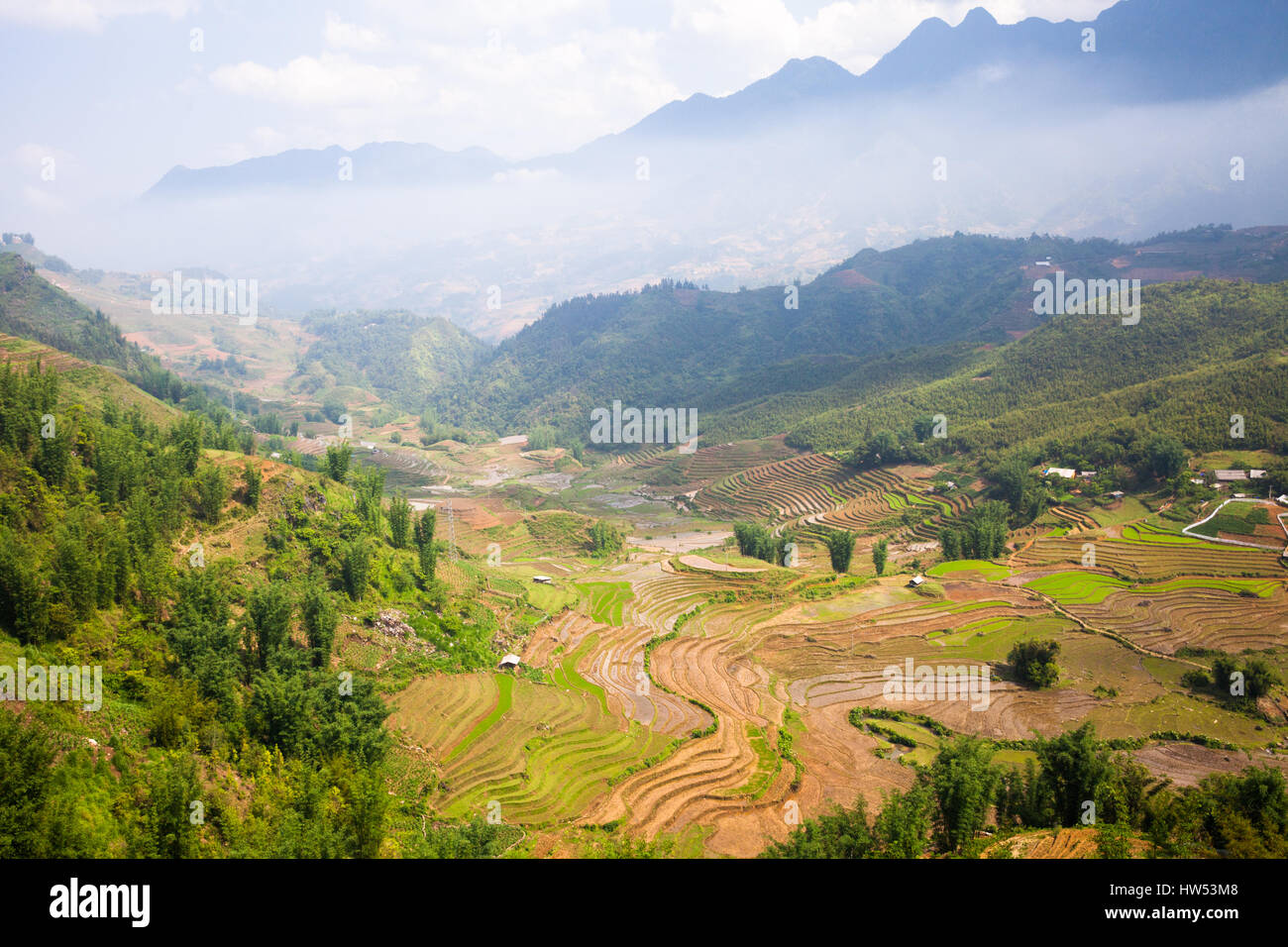 Sapa rice field hi-res stock photography and images - Alamy