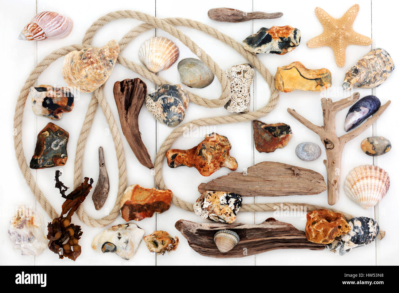 Seaside abstract collage with seashells, driftwood, seaweed, rope and ...