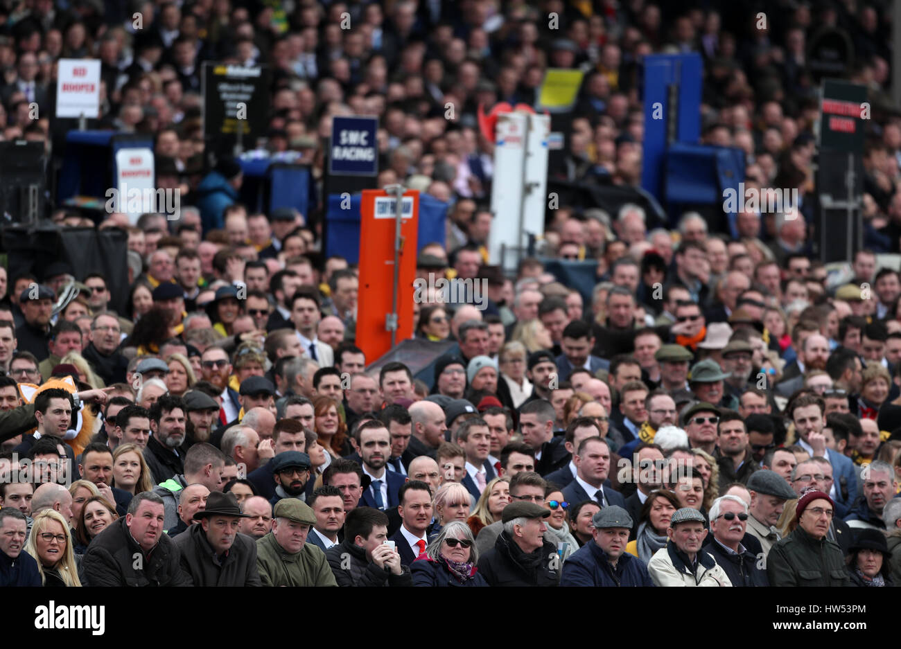 Cheltenham gold cup crowd view hi-res stock photography and images - Alamy