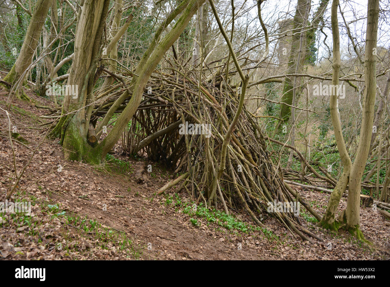 Man made shelter in woods used perhaps as a den by children Stock Photo ...