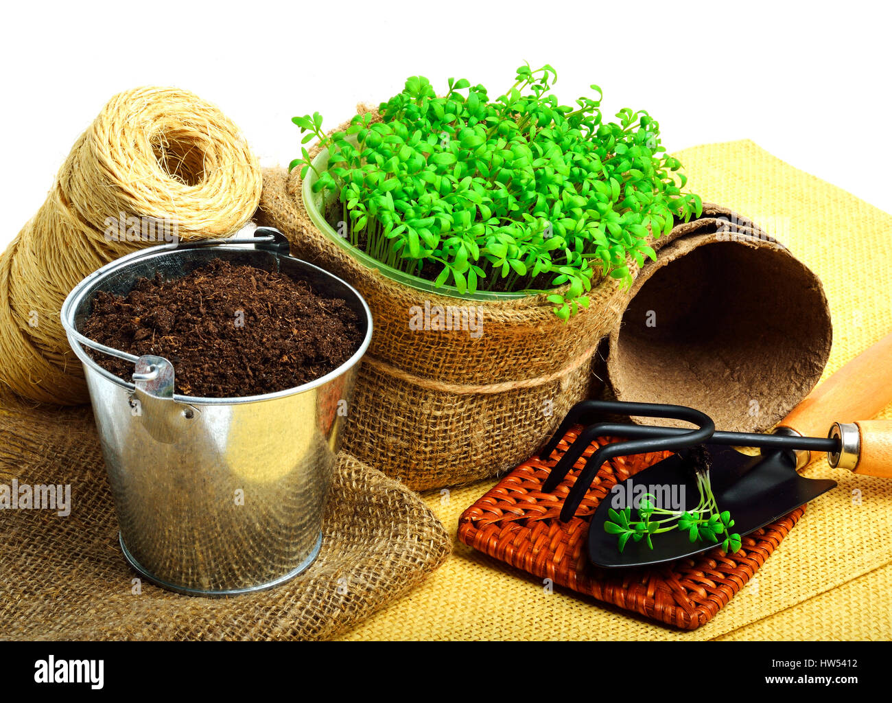 Cress salad on the flower bed with rake, shovel, peat cups, rope ...