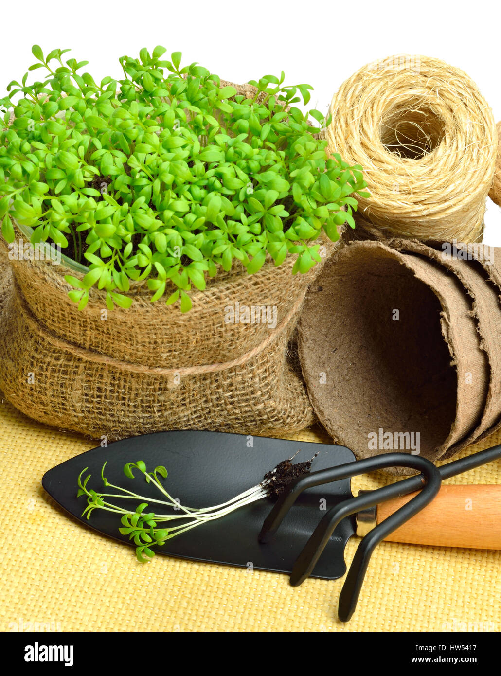 Cress salad on the flower bed with rake, shovel, peat cups, rope ...
