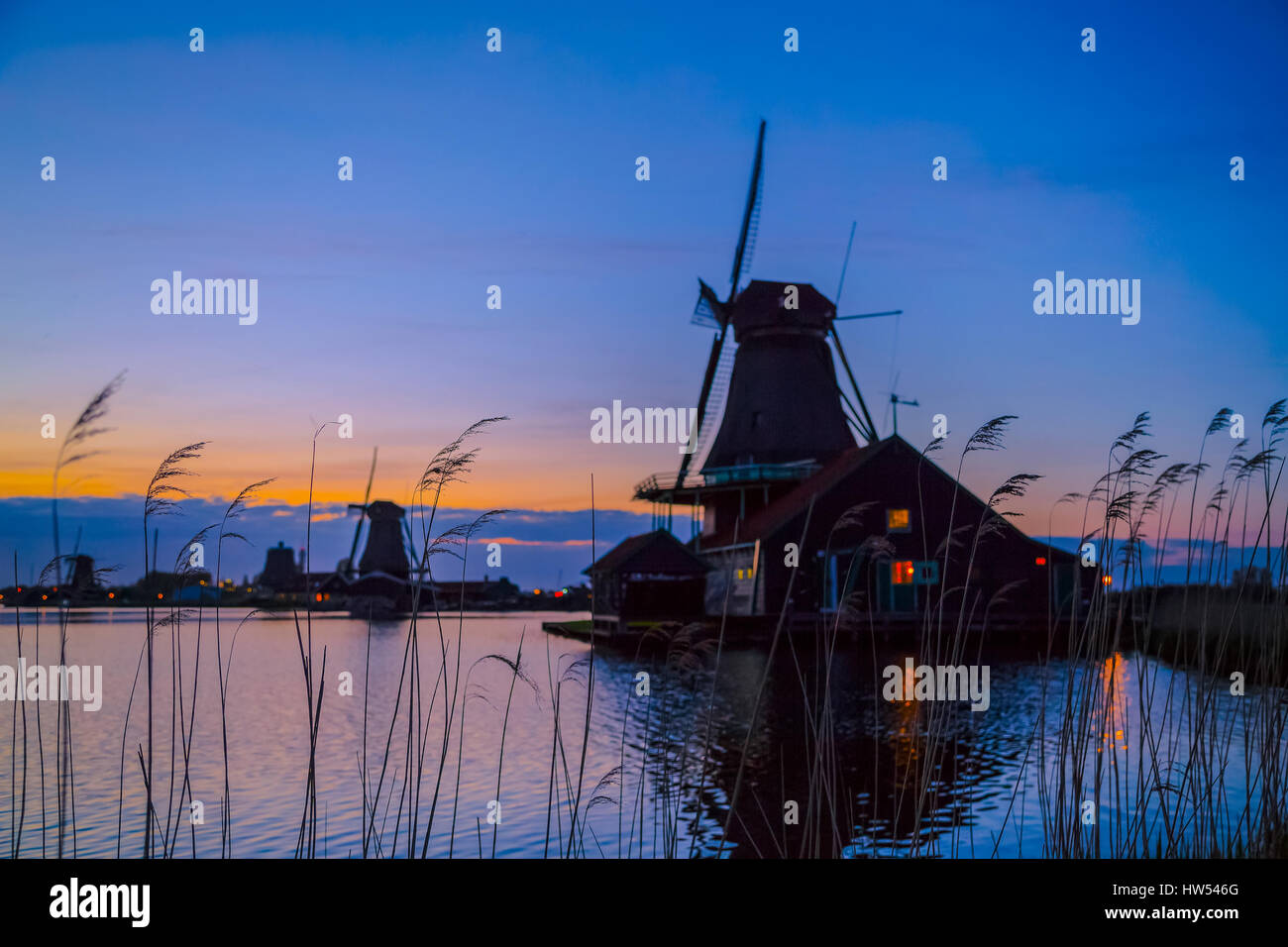 Sunset landscape with windmills and field wild herbs and flowers ...