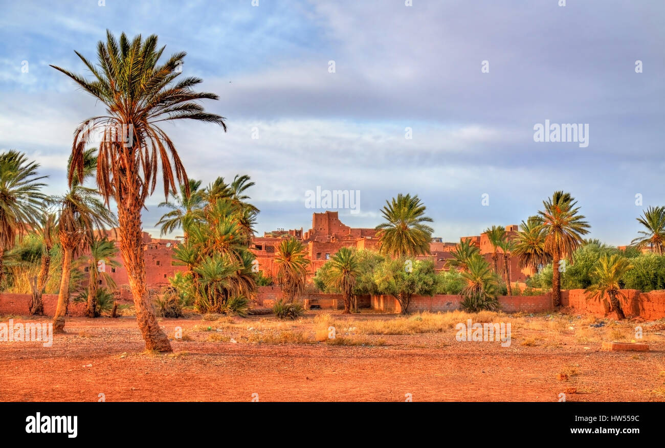 Date palm tree morocco hi-res stock photography and images - Alamy