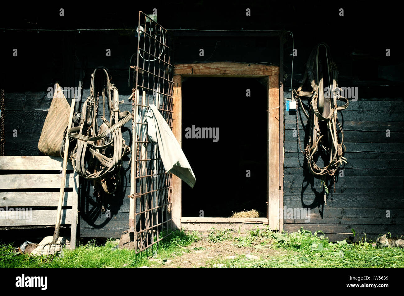 How To Hang Horse Harness On Wall at Lincoln Pie blog