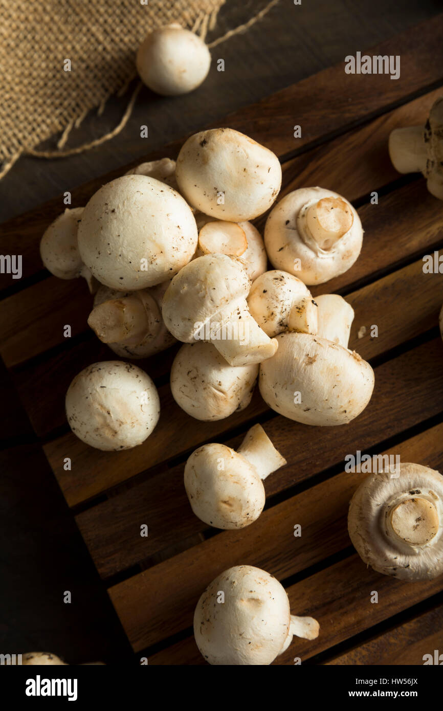 Raw Organic Baby Button Mushrooms Ready to Cook With Stock Photo - Alamy