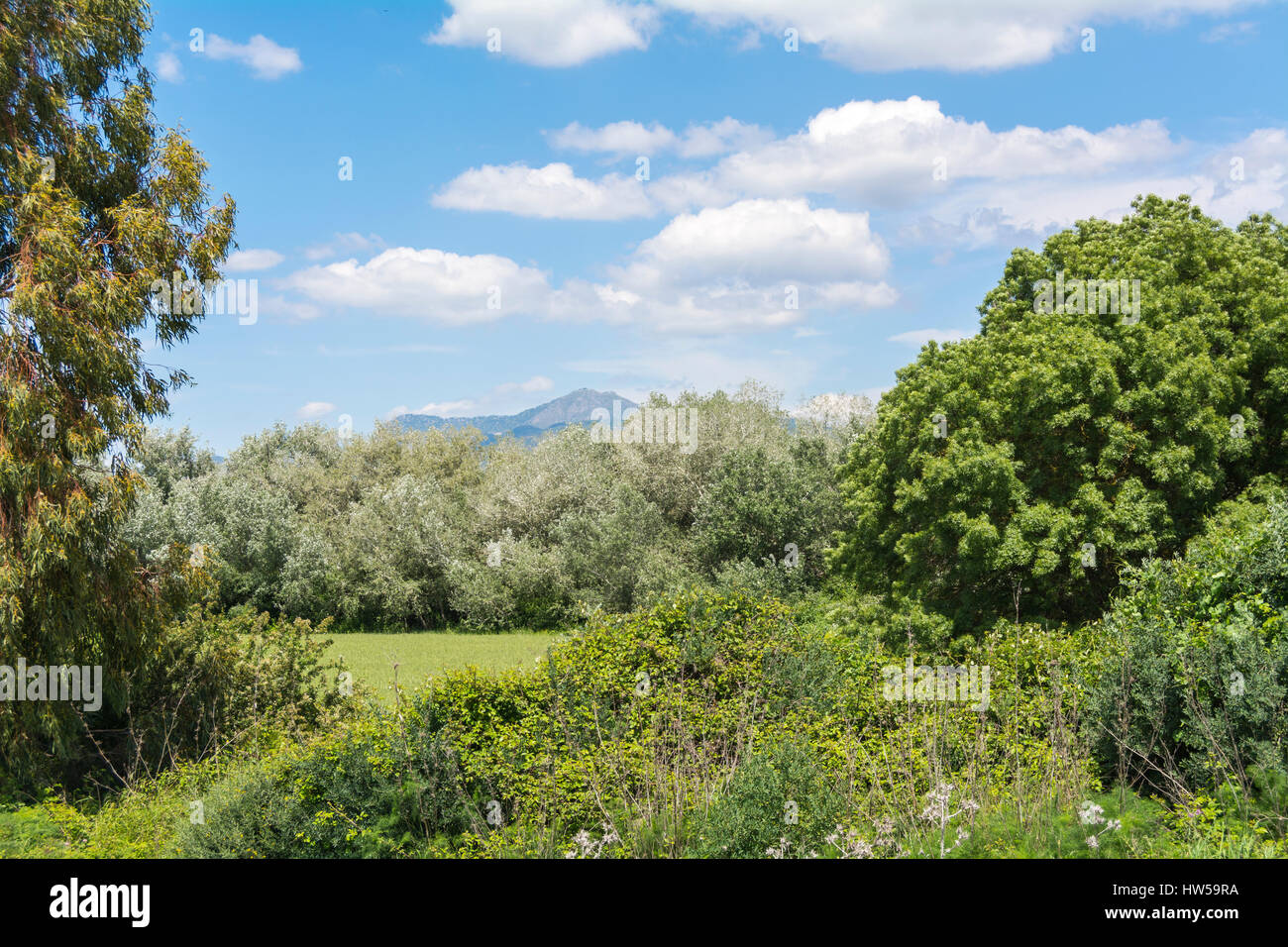 Natural landscape, valley Stock Photo - Alamy