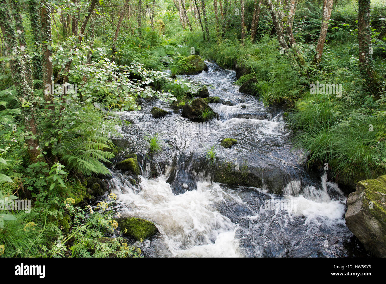 water flowing down a river Stock Photo - Alamy