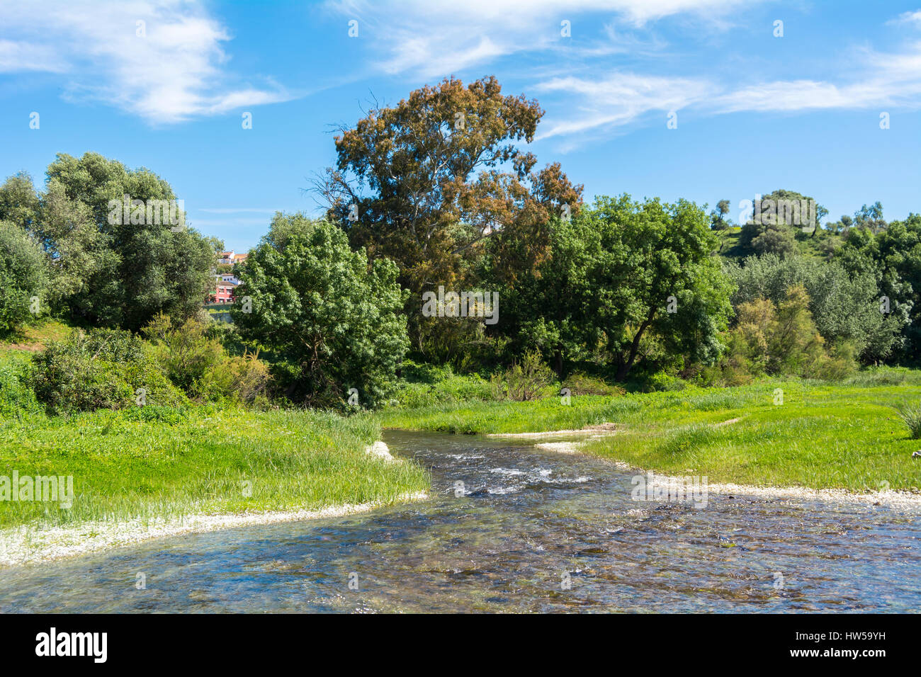 River landscape with trees Stock Photo - Alamy
