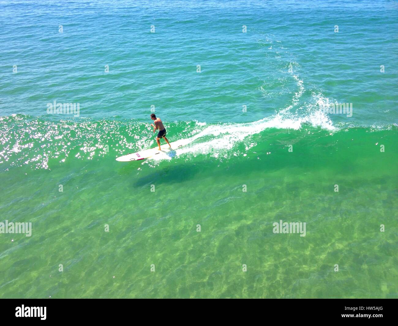 Man surfing in Santa Monica, California, America, USA Stock Photo - Alamy