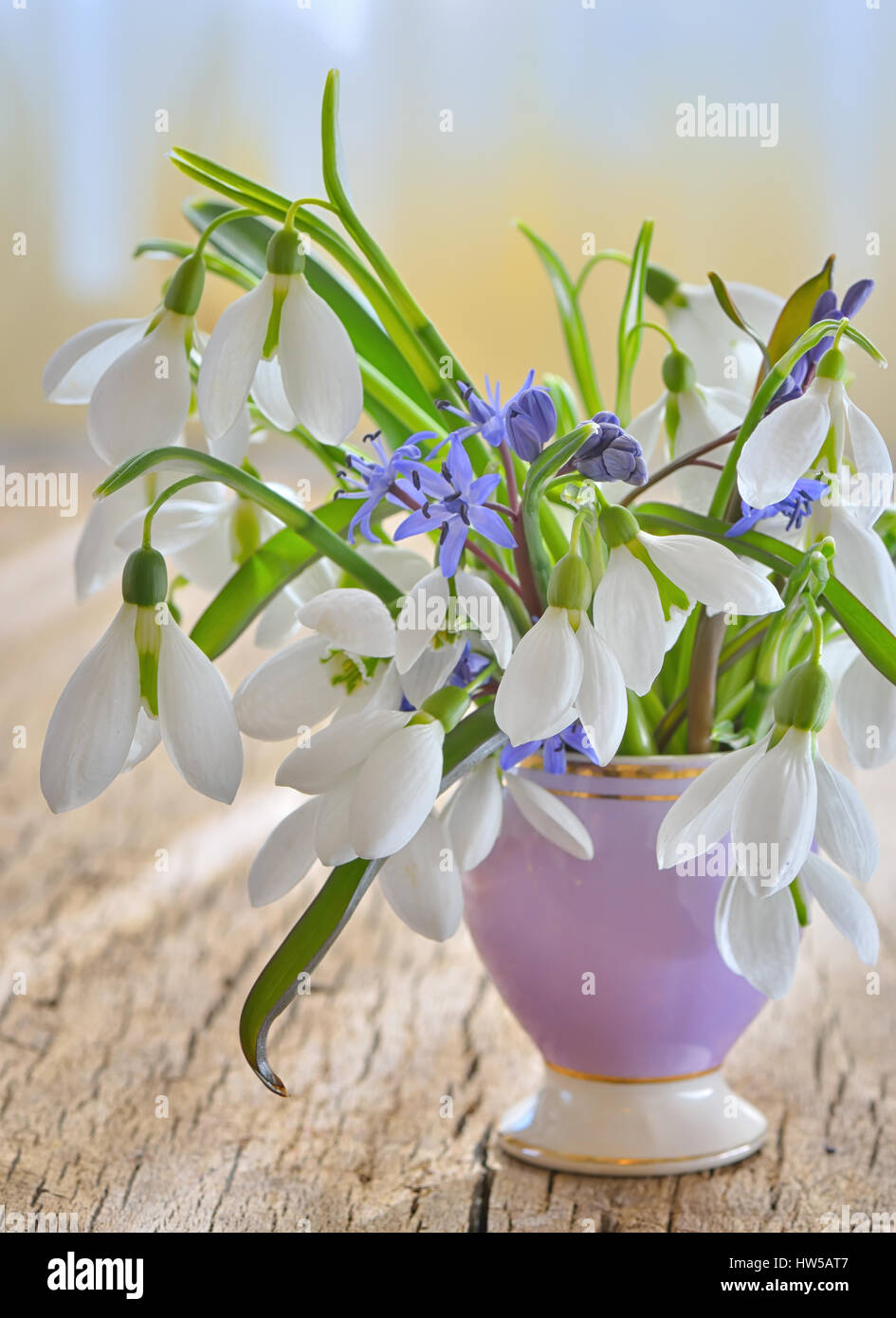 Beautiful bouquet of snowdrops in vase on wooden table Stock Photo - Alamy