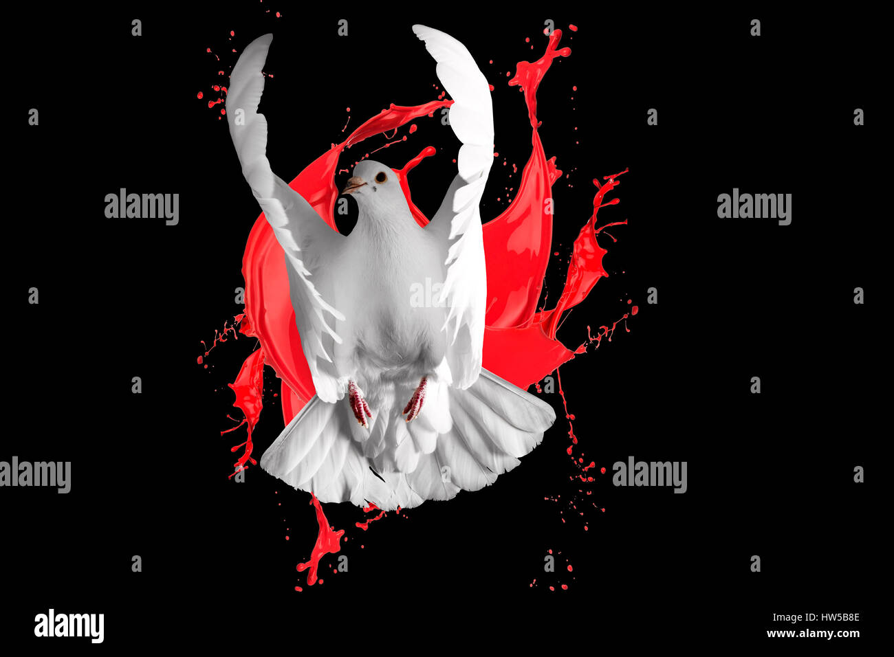 White Dove Flying Painting